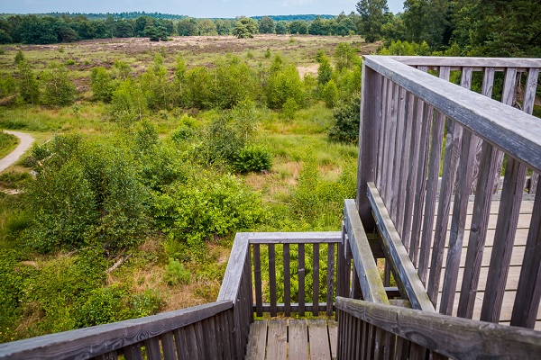 De Big Five van Limburg | VVV Hart van Limburg